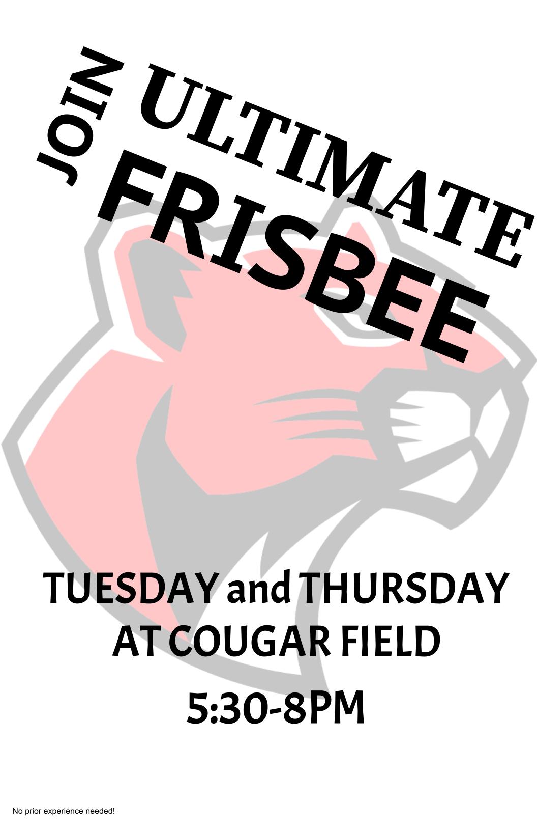 Albany High School Graphic Design Student Showcase